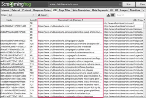 Ecommerce SEO: A Guide To Increase Traffic To Your Store